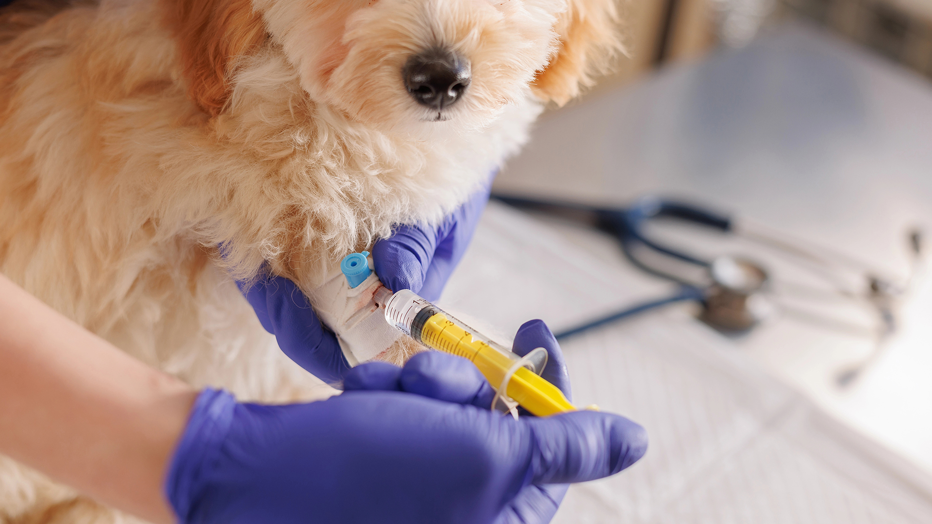 Electrolytic Disorders in the Emergency Room