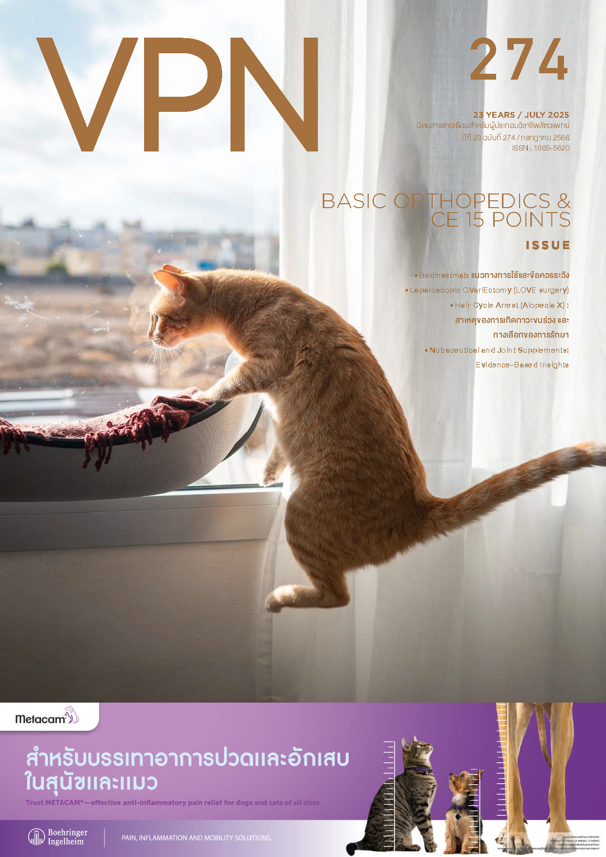 VPN Magazine
