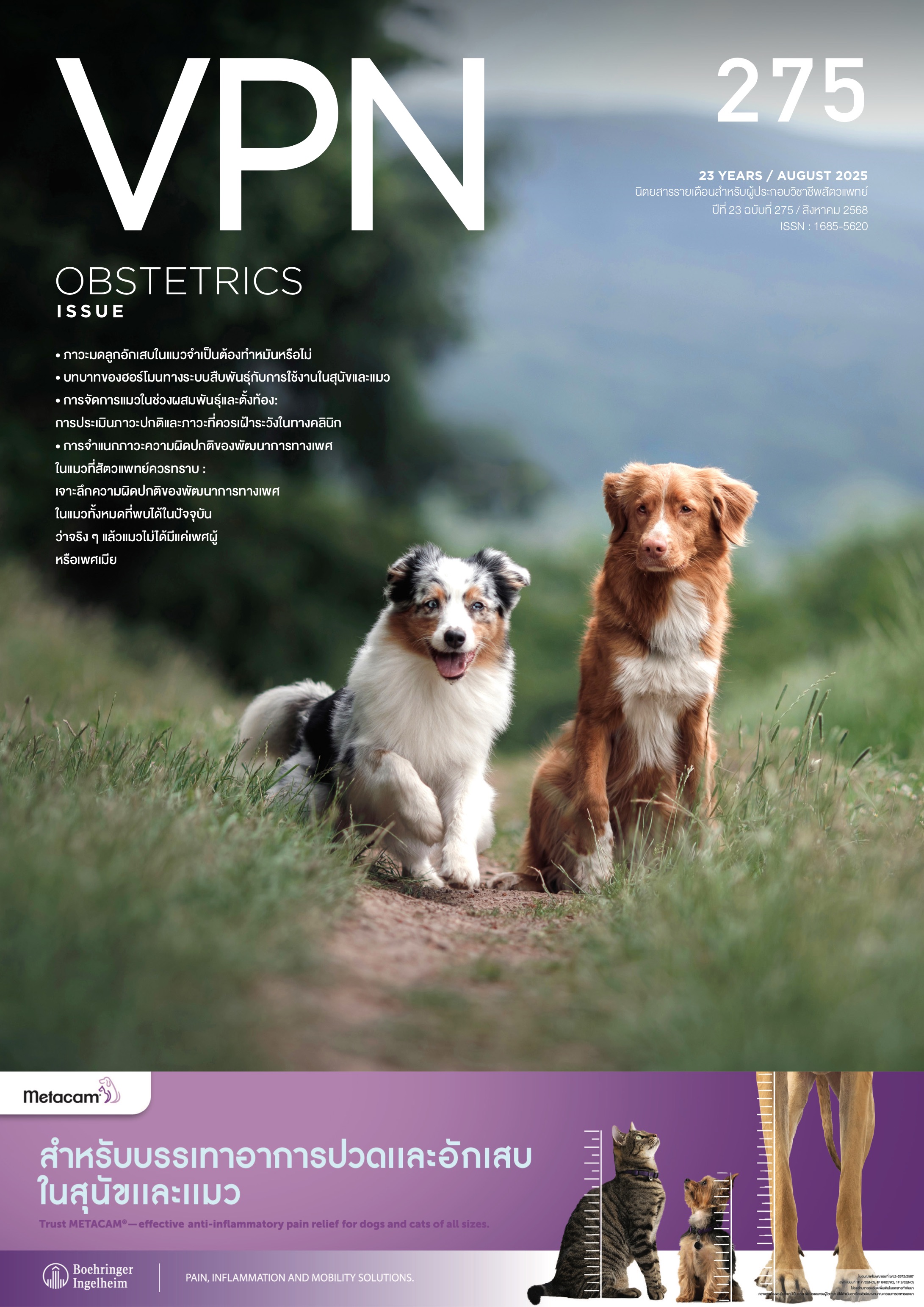 VPN Magazine