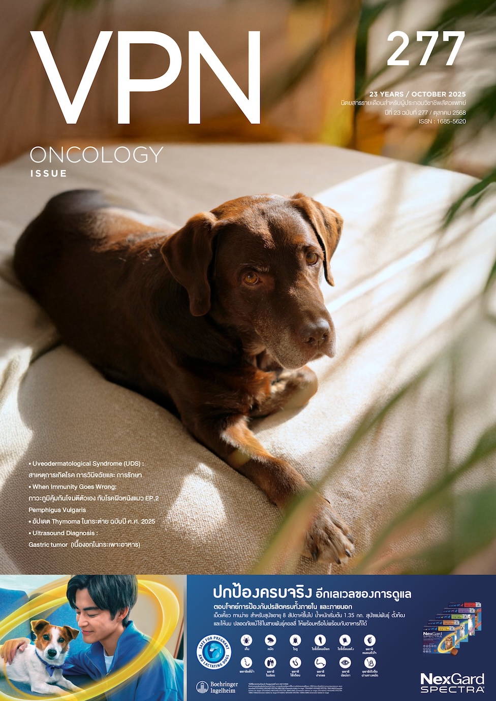 VPN Magazine